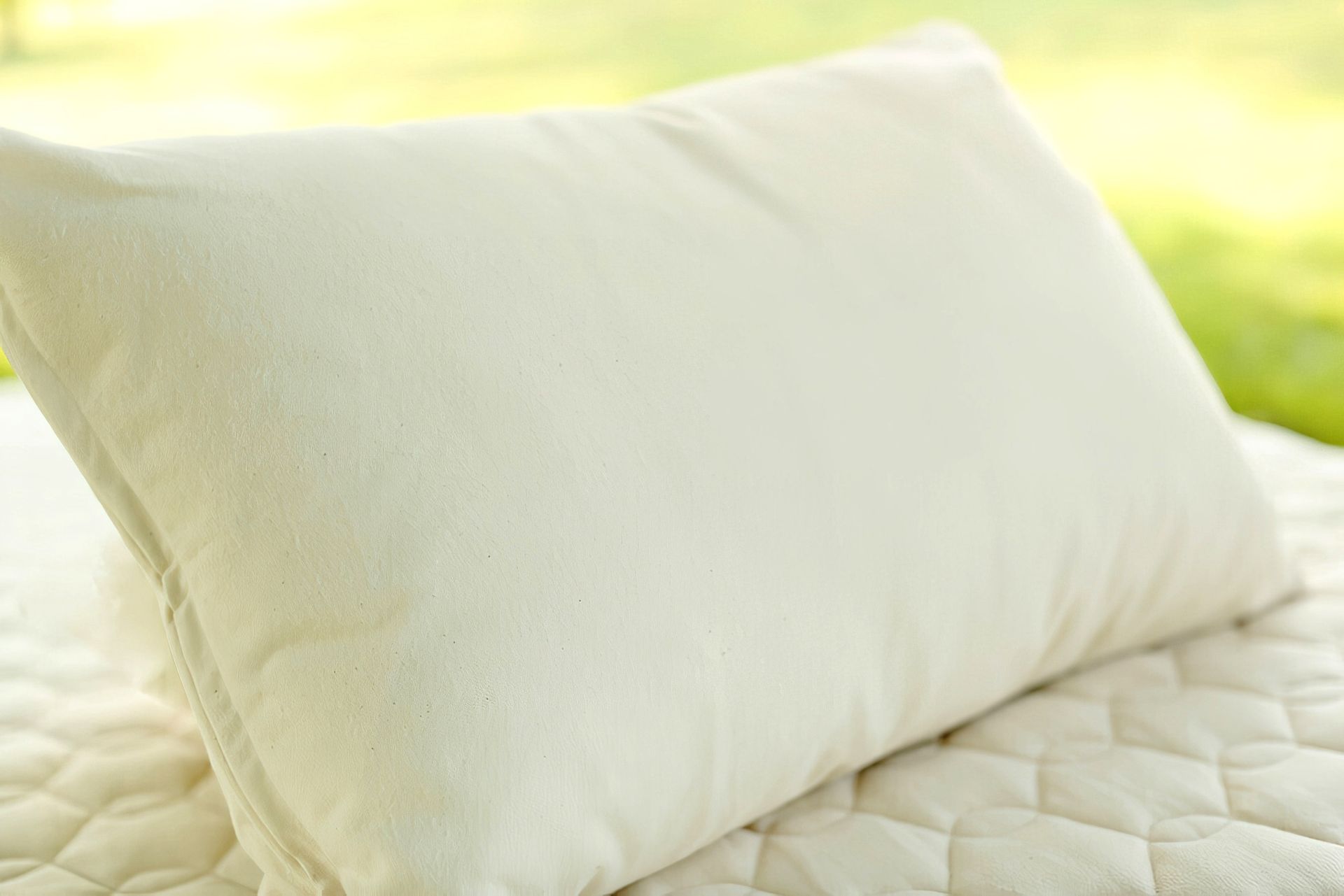 Organic Wool Pillow | Wool