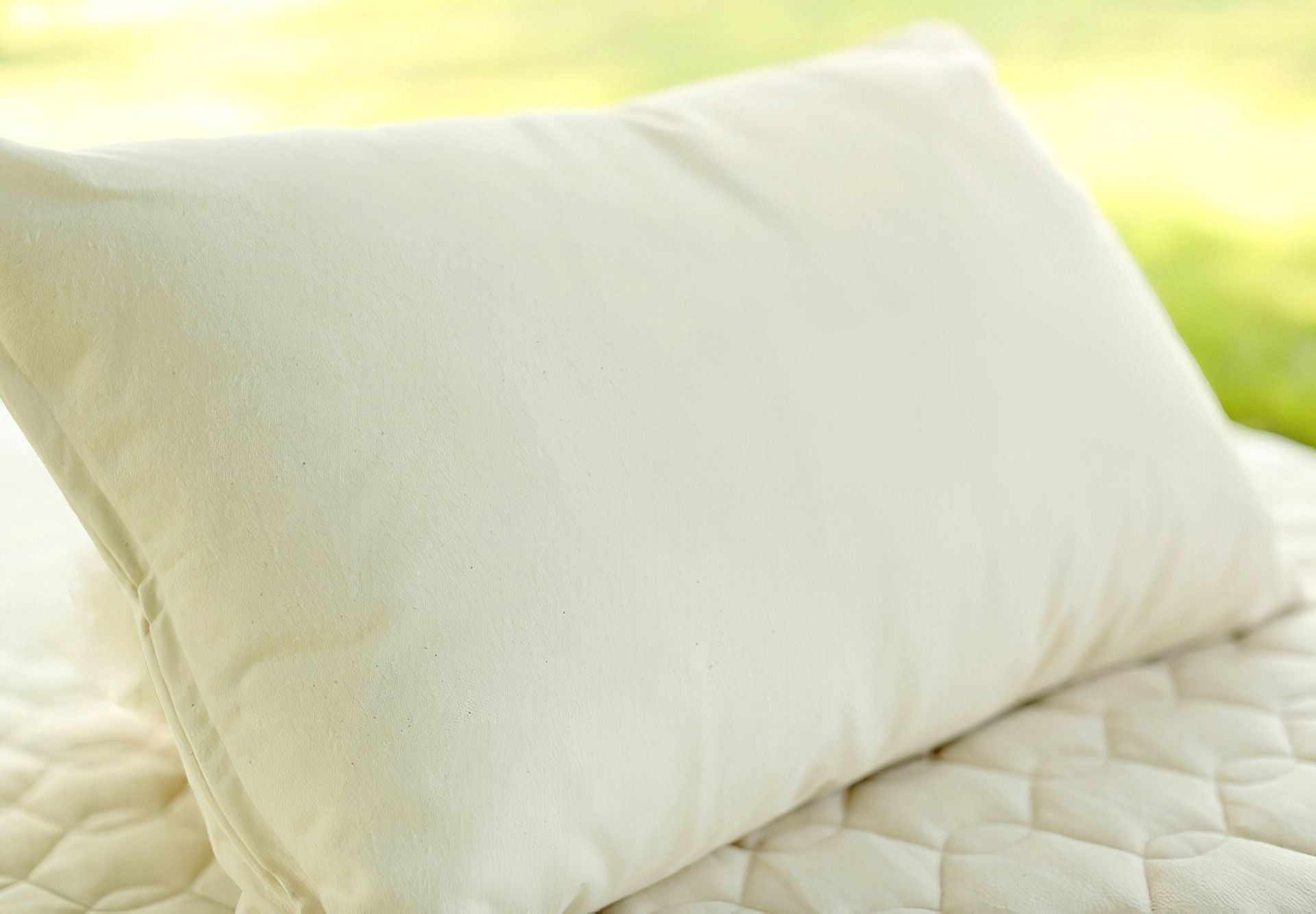 Organic Wool Pillow | Wool