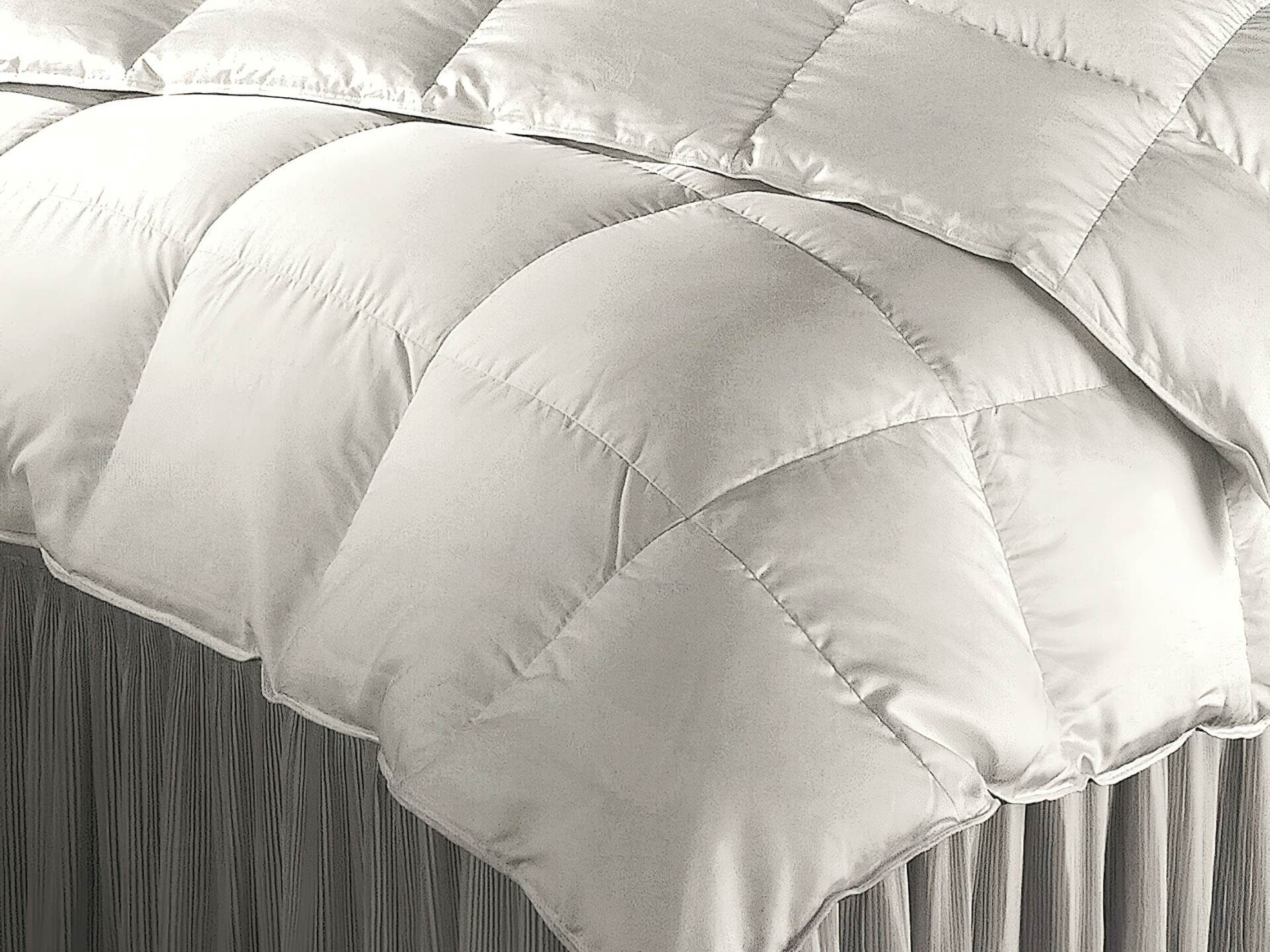 The Clean Bedroom Madison Goose Down Comforter | Down Comforters