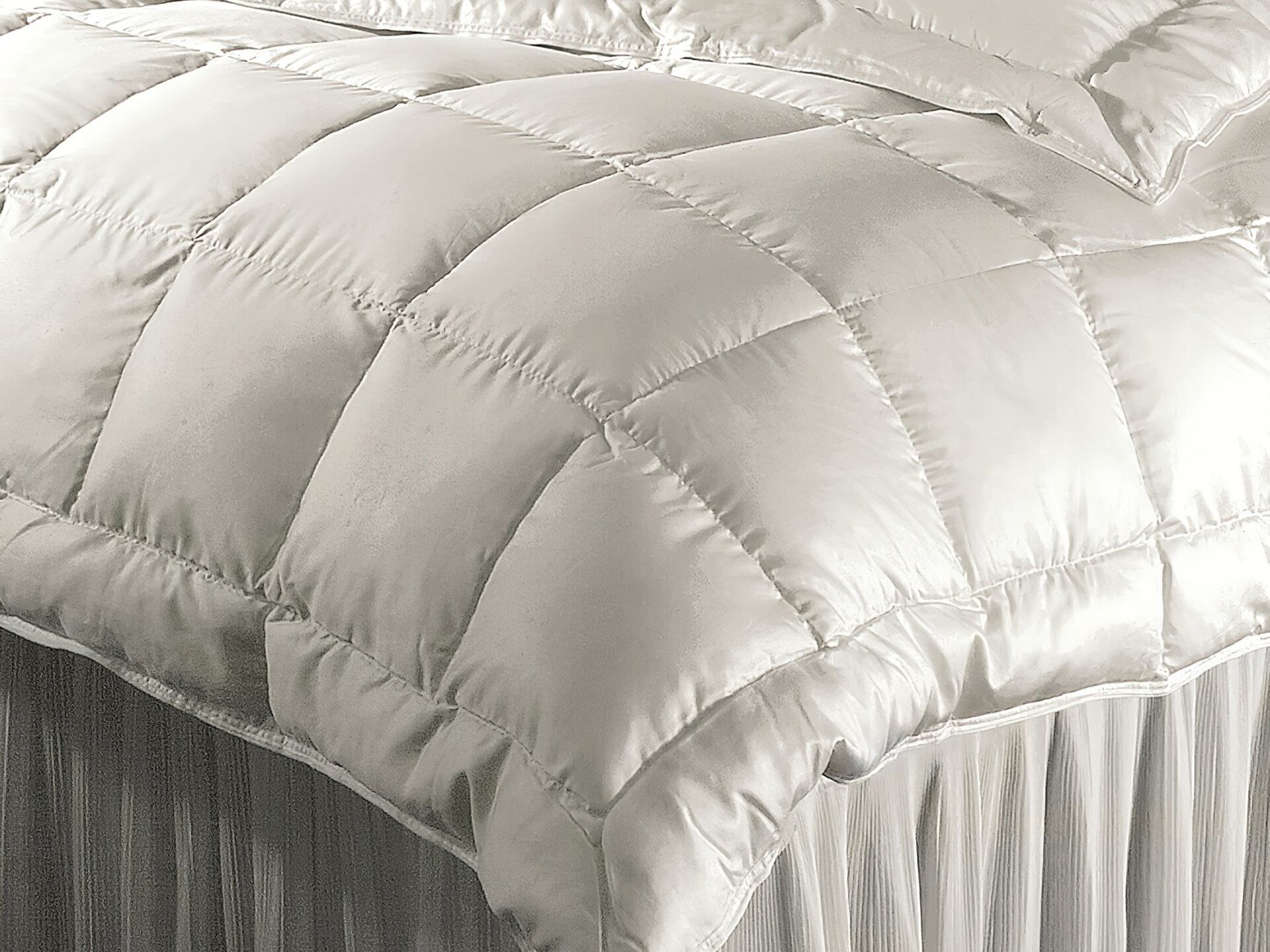 The Clean Bedroom Manhattan Goose Down Comforter | Down Comforters